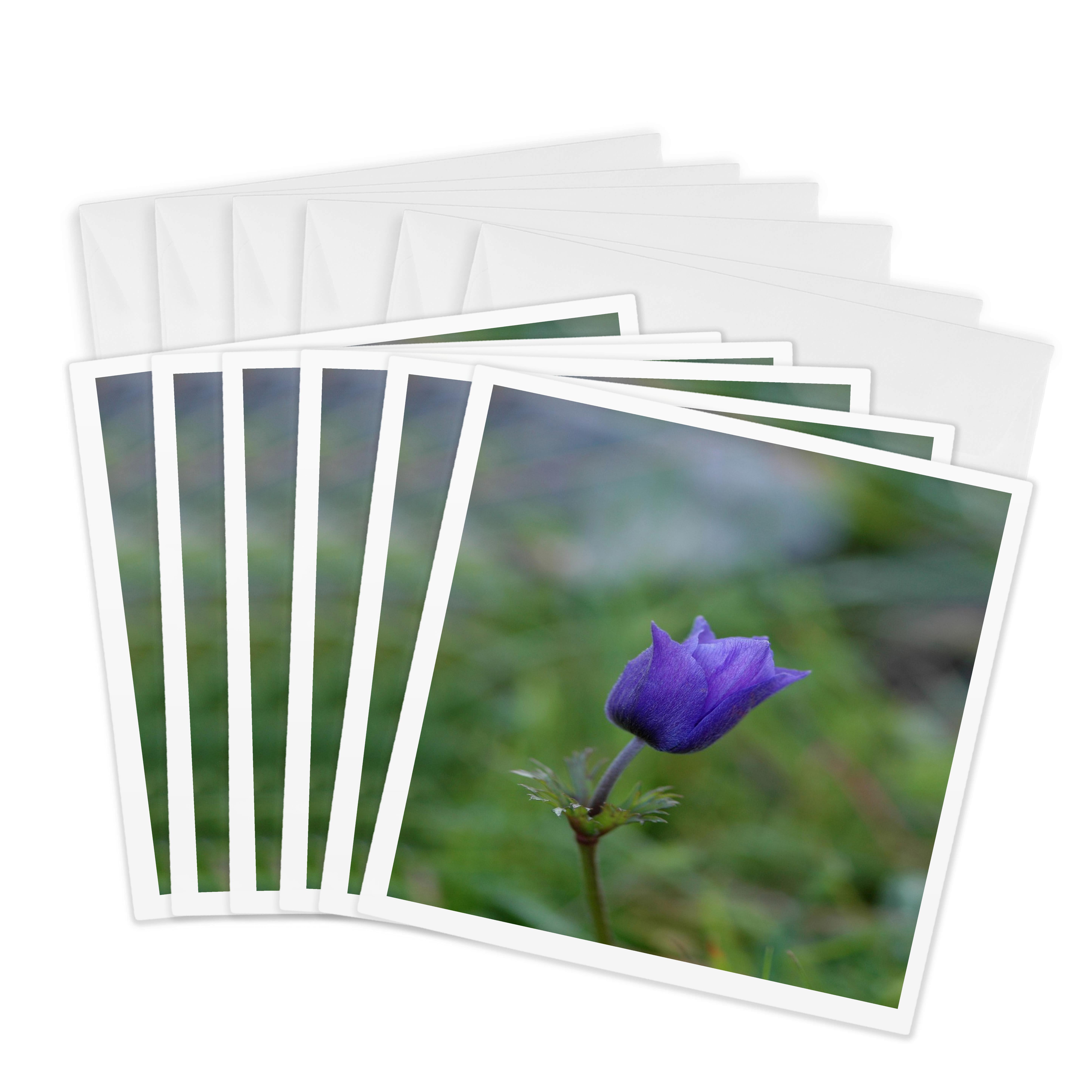 3drose, Lone Blue Purple Anemone, 6 Greeting Cards with Envelopes ...