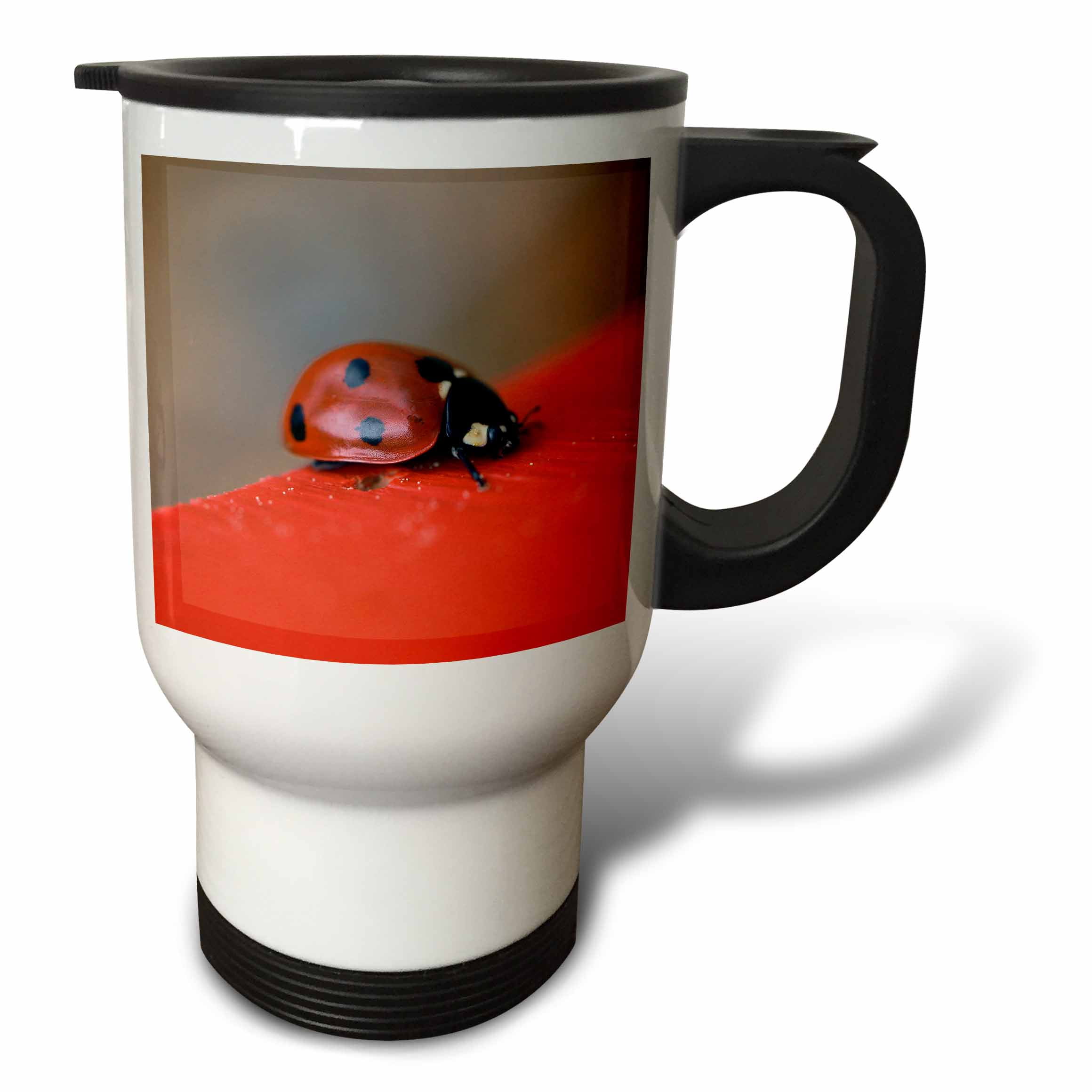 3drose, Macro Photo of Ladybug on the Edge of the Red Roof of a Bee ...