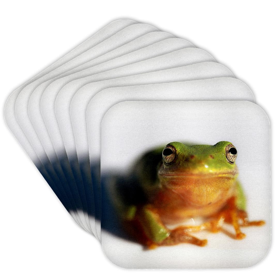 3drose, Macro Photograph of a Green Copes Gray Tree Frog., Set of 8 ...