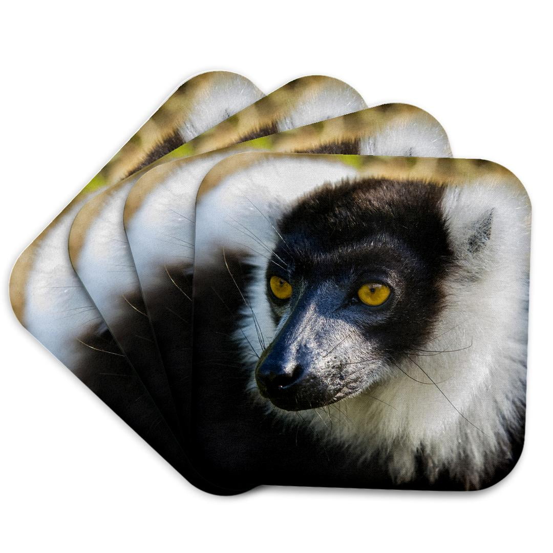 3drose, Madagascar,vakona Lodge, Lemur Island. Black and White Ruffed ...