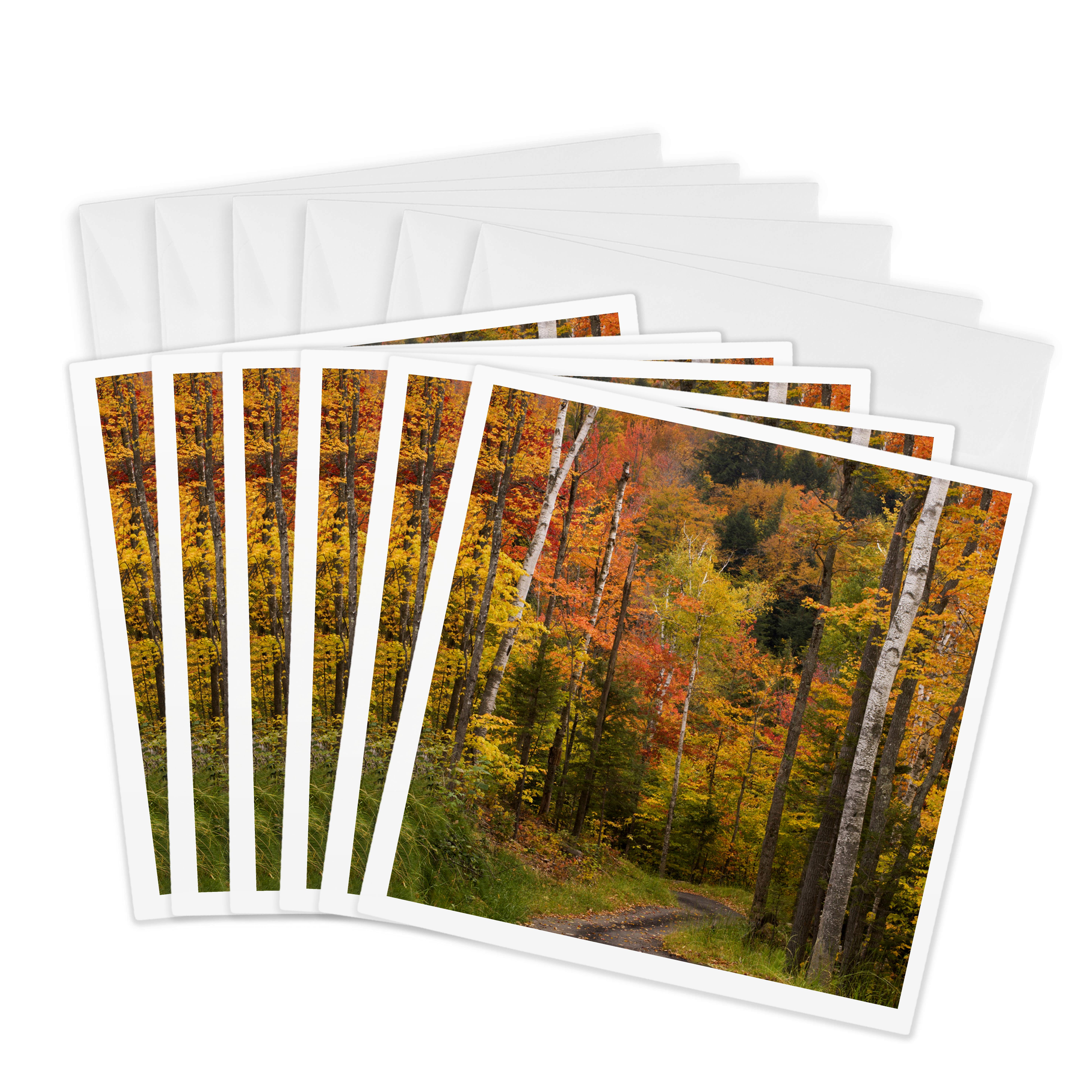 3drose, Maine, Bethel. Winding Lane Through Autumn Trees - Us20 Bja0002 ...