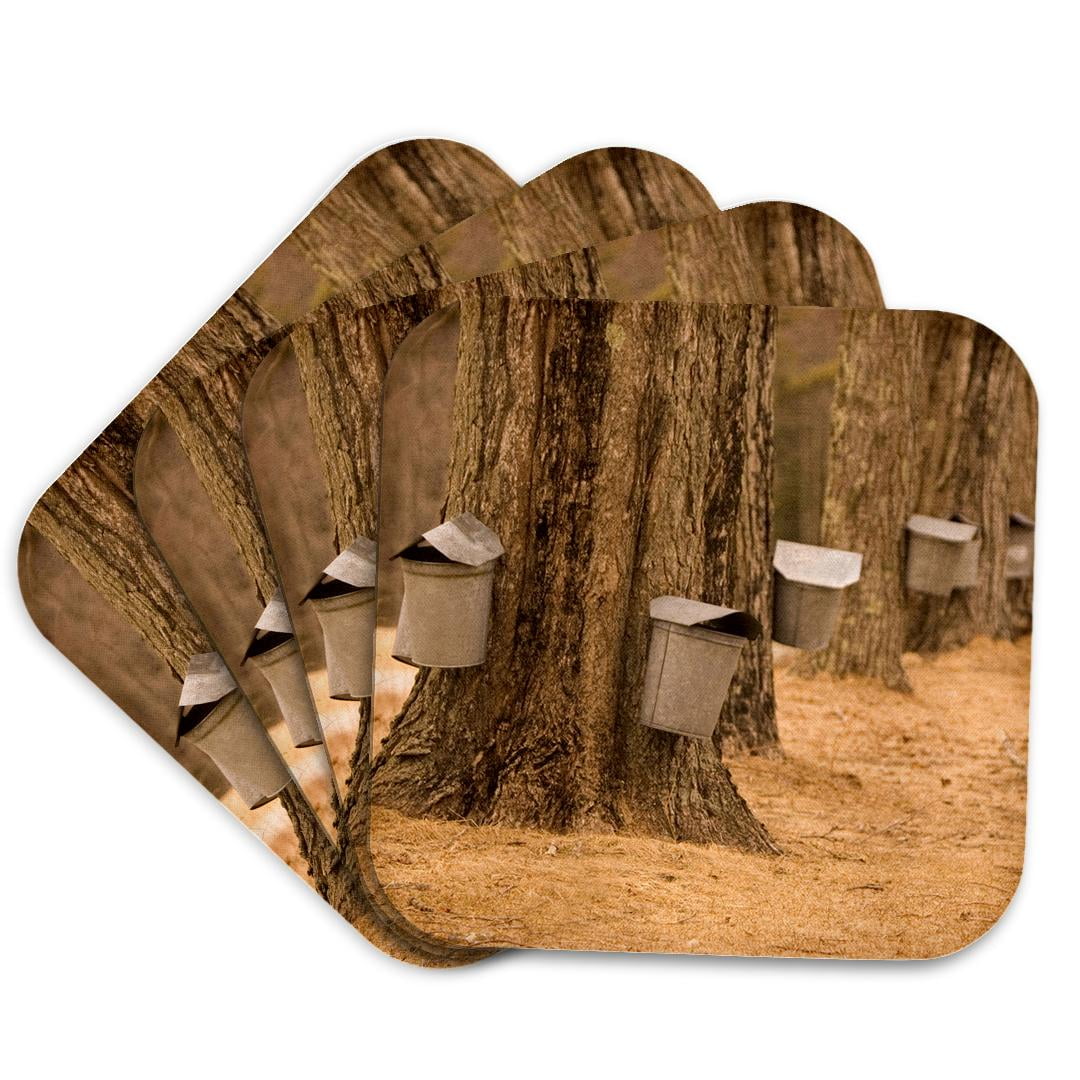 3drose, Maine, Harpswell. Tapping Maple Trees in Spring - Us20 Bja0025 ...