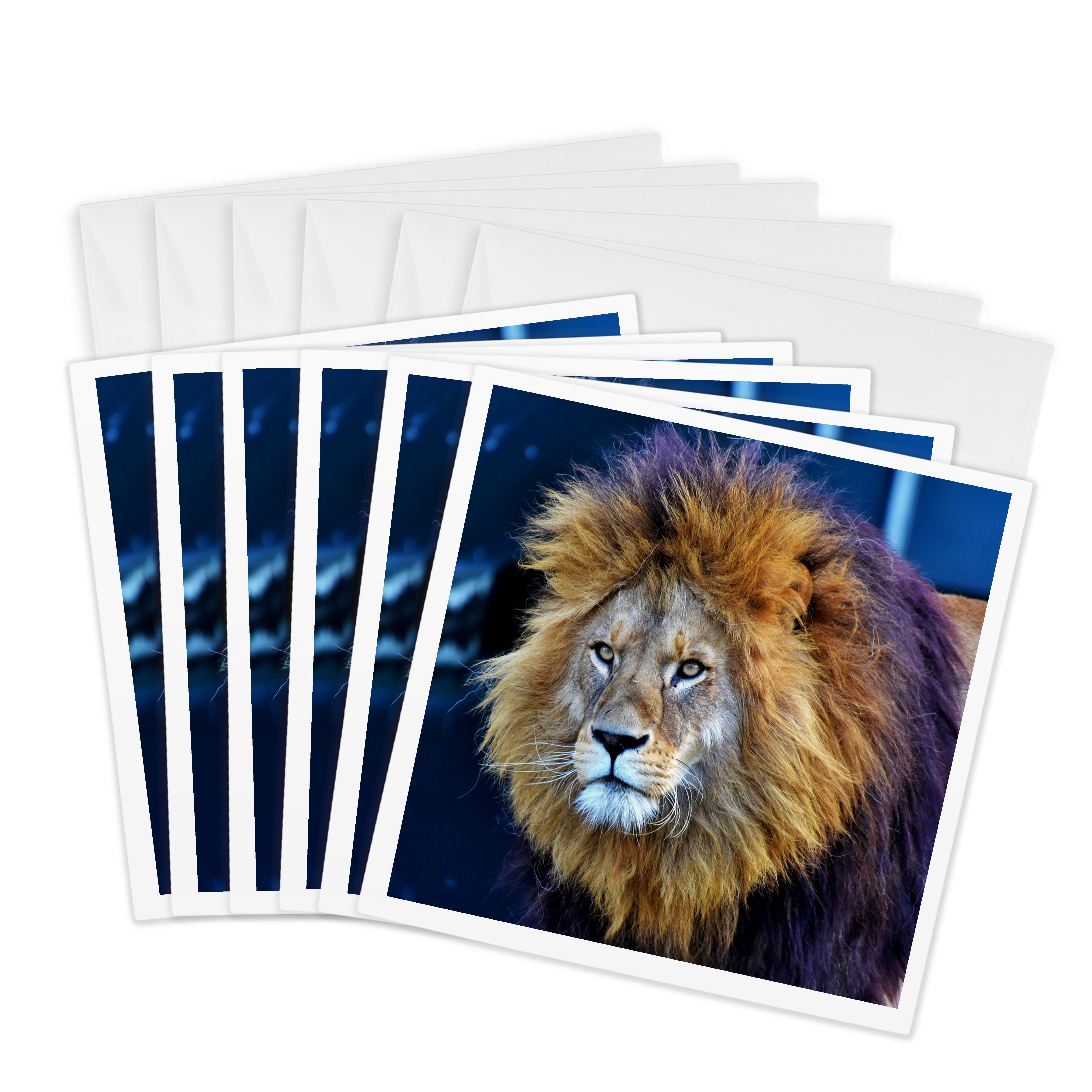 3drose, Majestic Lion with a Determined Look Animal World, 6 Greeting ...