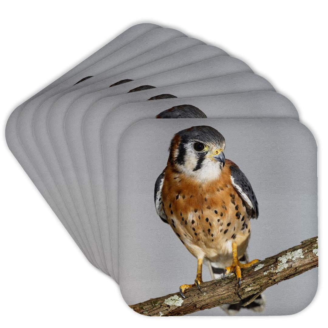 3drose, Male American Kestrel., Set of 8 Coasters - Soft - Walmart.com