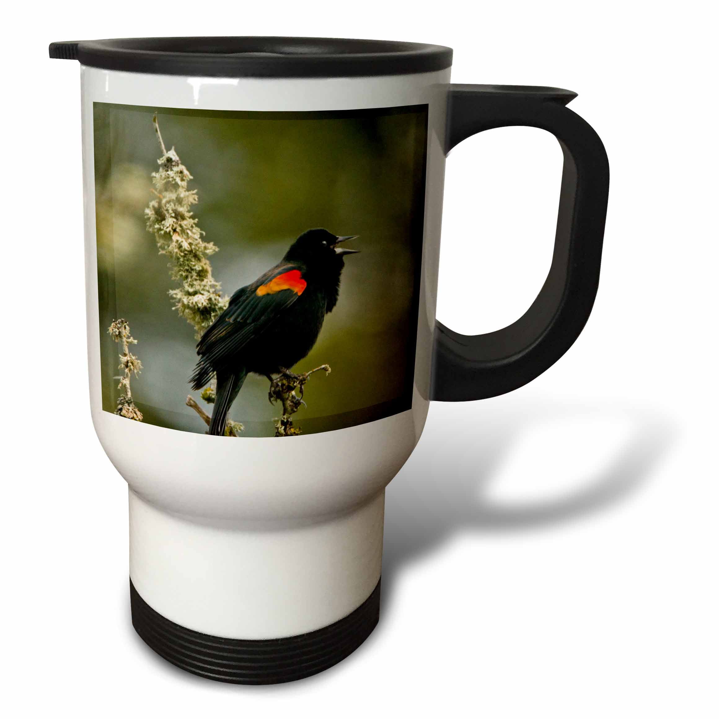 3drose, Male Red Wing Blackbird, Perched, Dawson Creek Park, Oregon ...