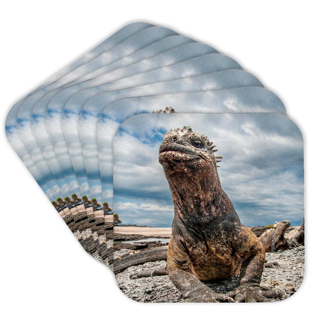 3drose, Marine Iguana on Fernandina Island, the Model for the Godzilla ...