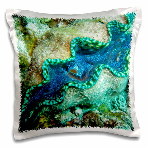 3drose, Marine Life, Giant Clam, Great Barrier Reef, Australia-au01 ...