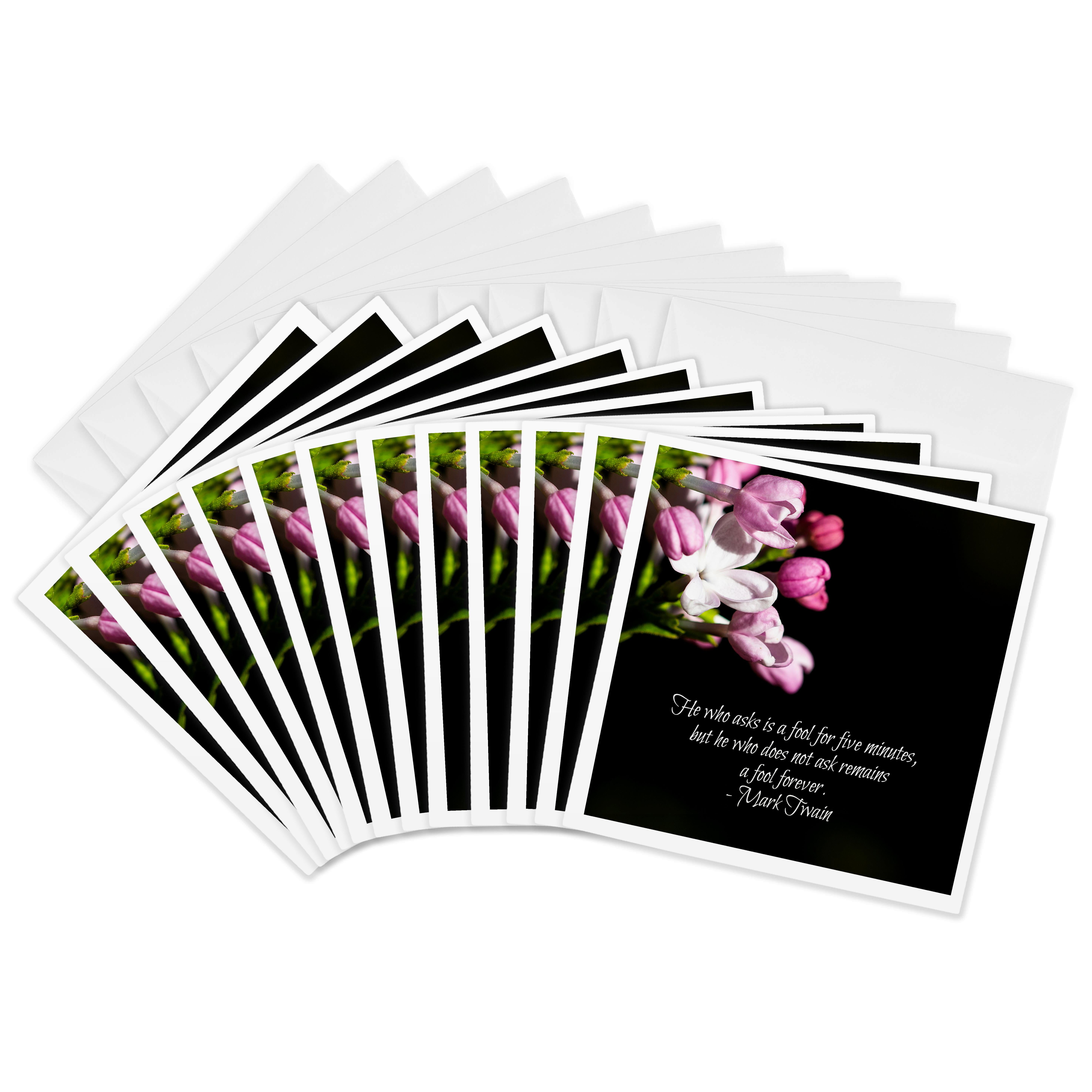 3drose, Mark Twain Quote He Who Asks Is a Fool for Five Minutes. Lilac ...