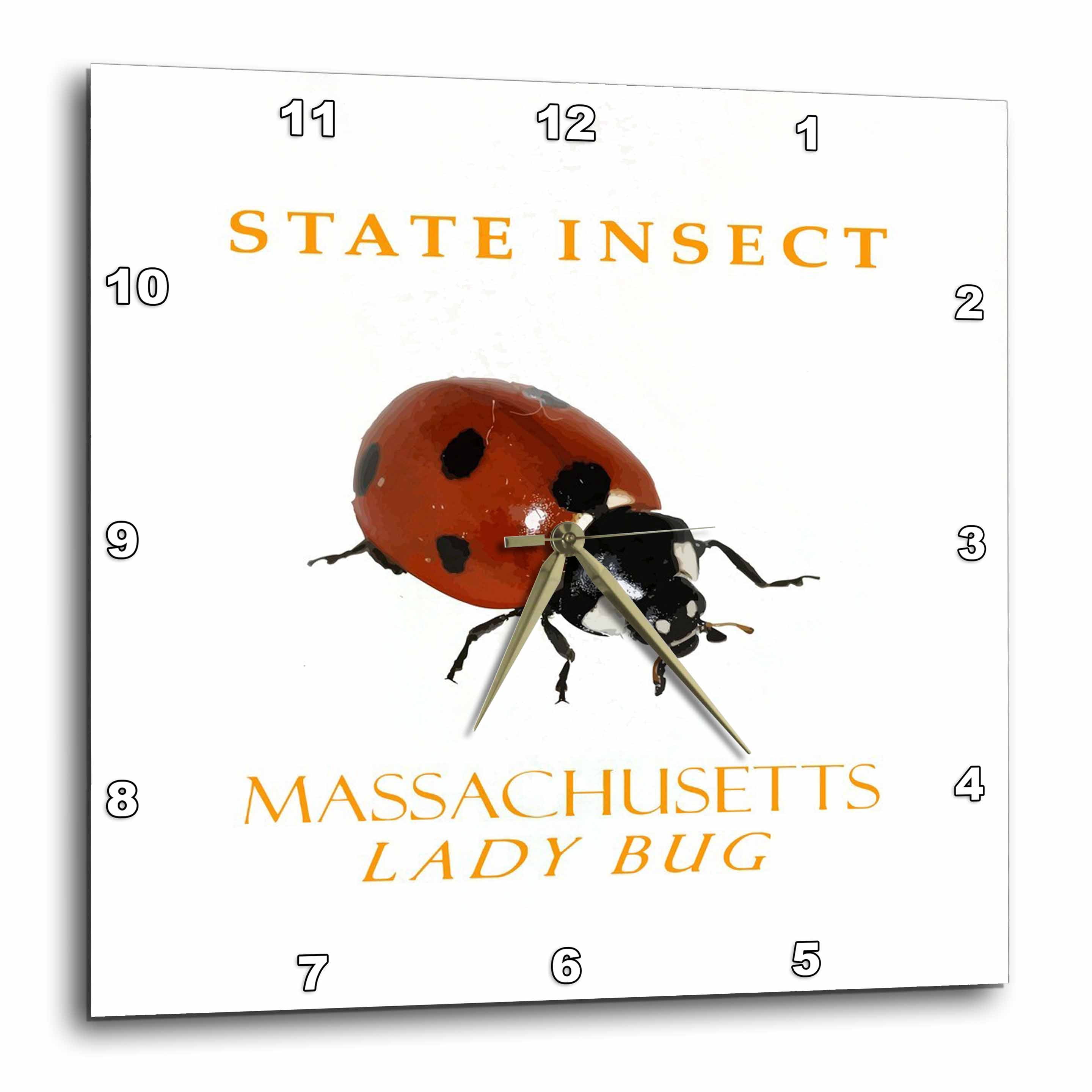 3drose, Massachusetts Territory Insect the Lady Bug, 10x10 Wall Clock ...