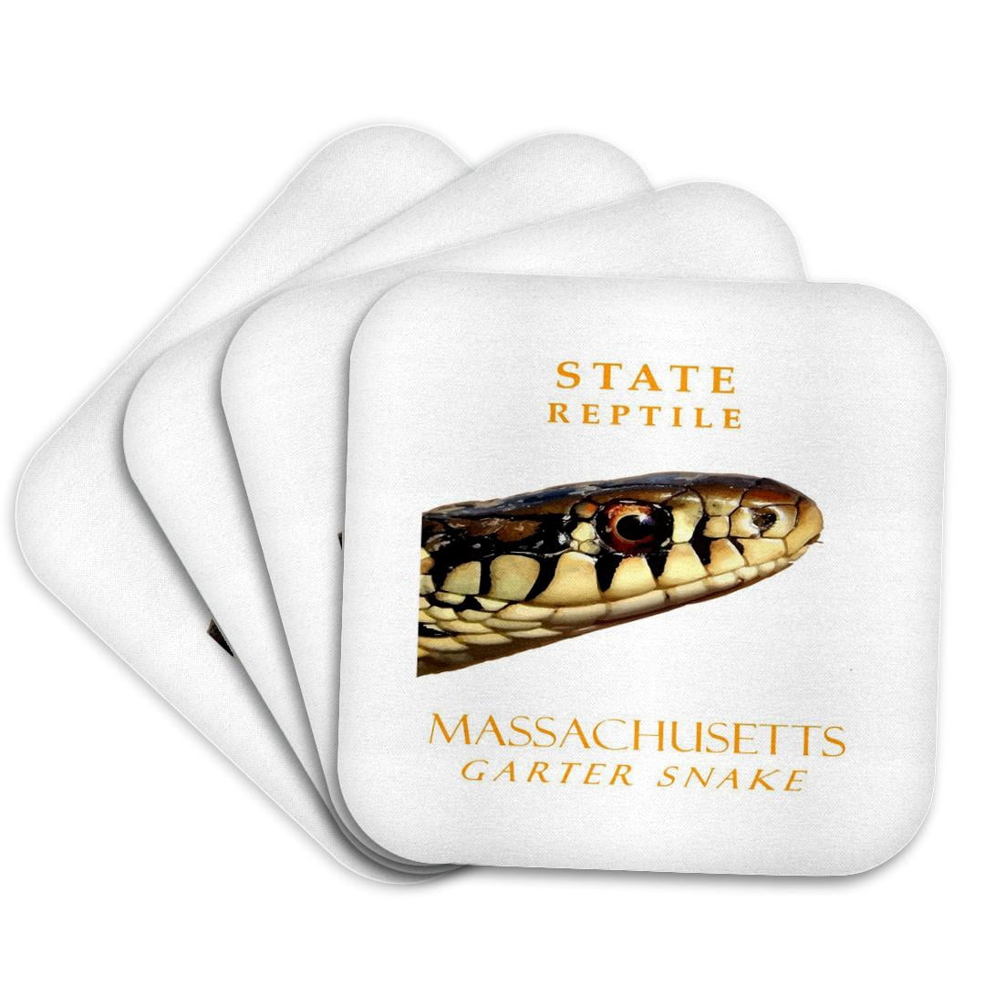 3drose, Massachusetts Territory Reptile the Garter Snake, Set of 4 ...