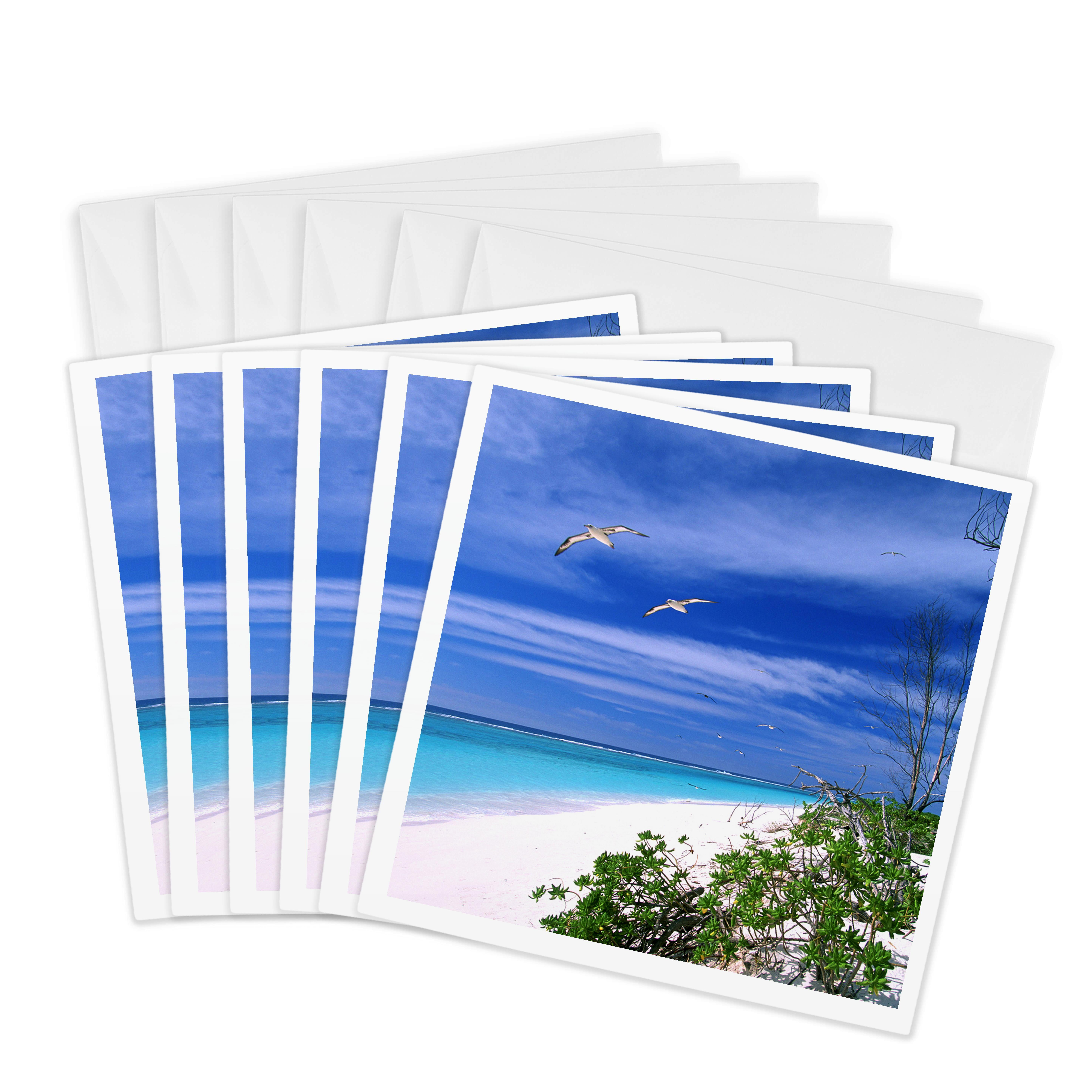 3drose, Midway Island, N.w. Hawaiian Chain, Hawaii - Us12 Dpb0412 ...