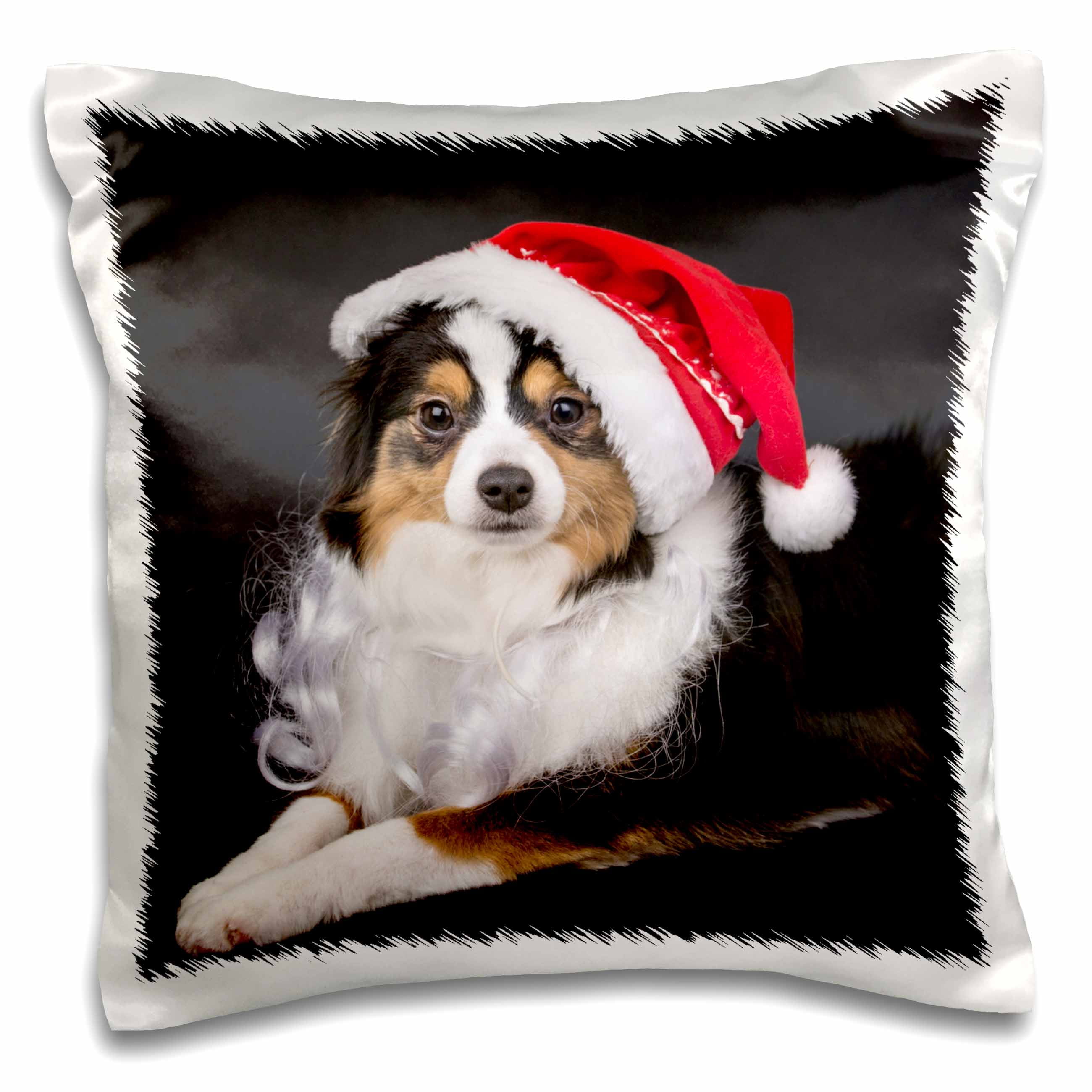 3drose, Miniature or Toy Australian Shepherd Puppy Wearing Santa Hat ...