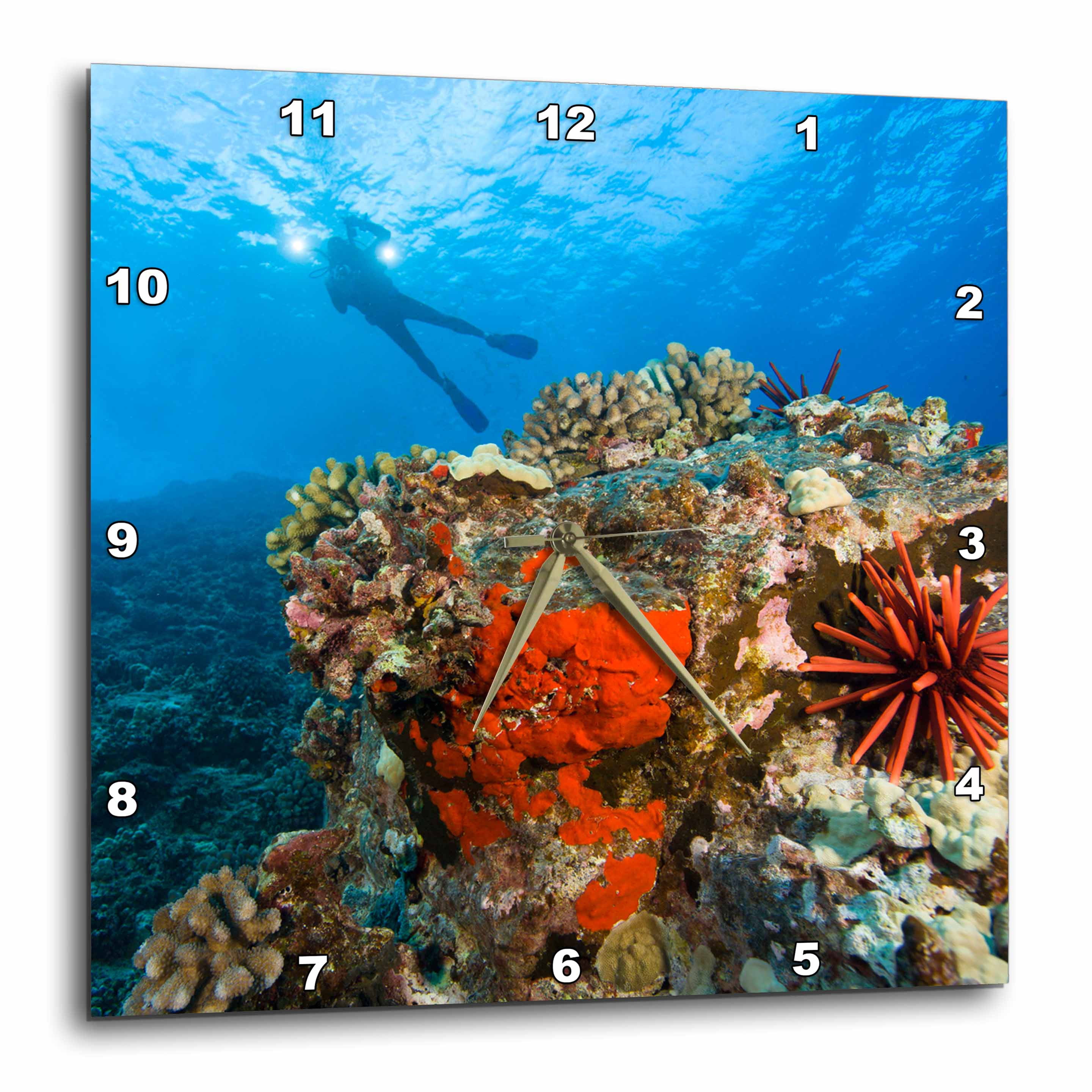 3drose, Molokini Crater Near South Maui, Hawaii, Usa, 10x10 Wall Clock ...