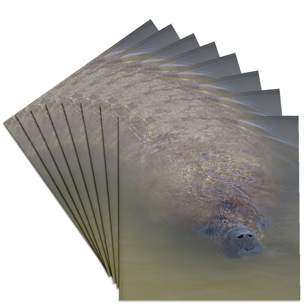 3drose, Mommie Manatee, Set of 8 Ceramic Tile Coasters - Walmart.com