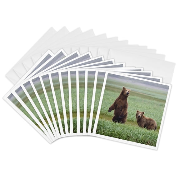 3drose, Mother Grizzly Bear and Cub, Katmai Np, Alaska - Us02 Gpr0021 ...