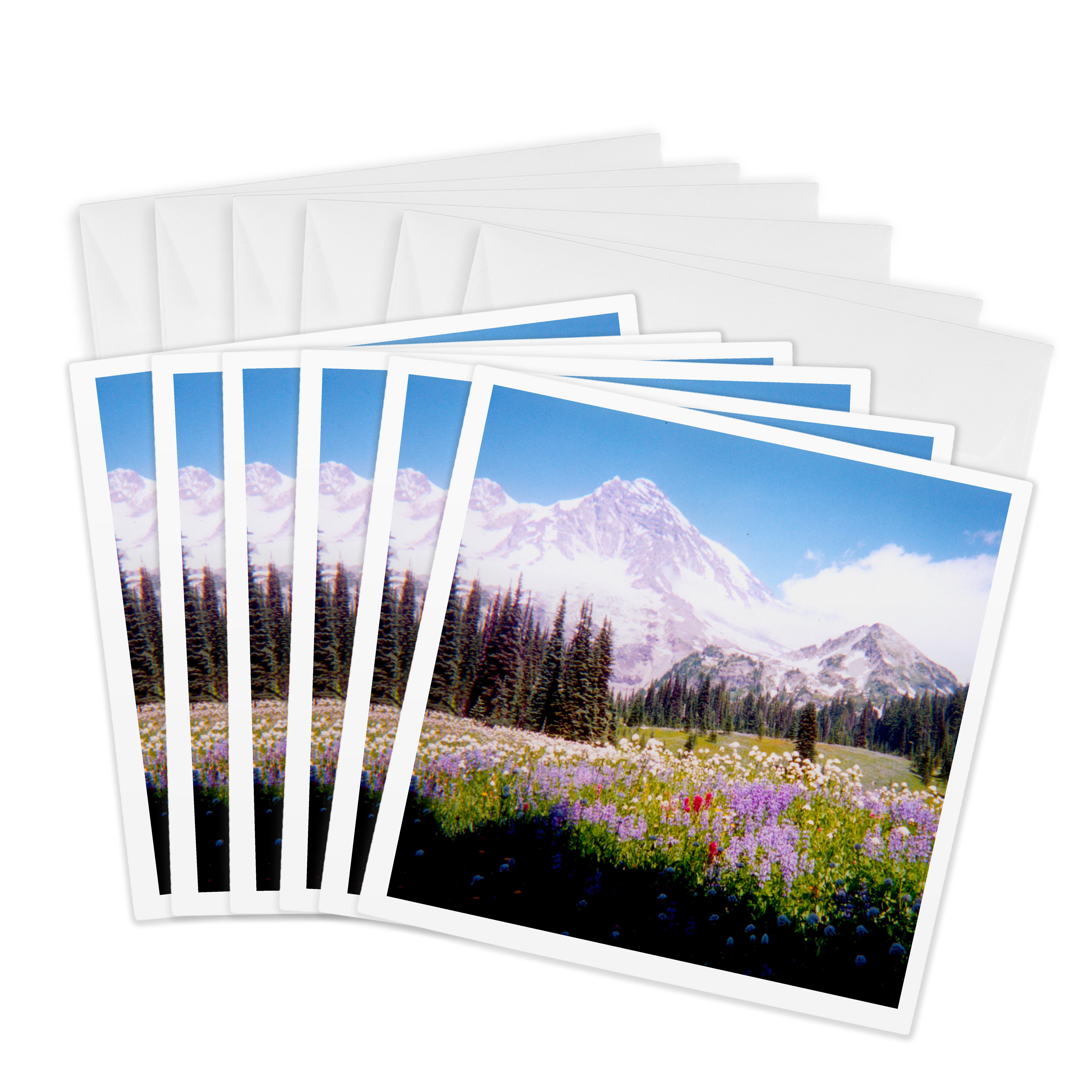3drose, Mount Rainier Viewed from a Field of Flowers - Mount Rainier ...