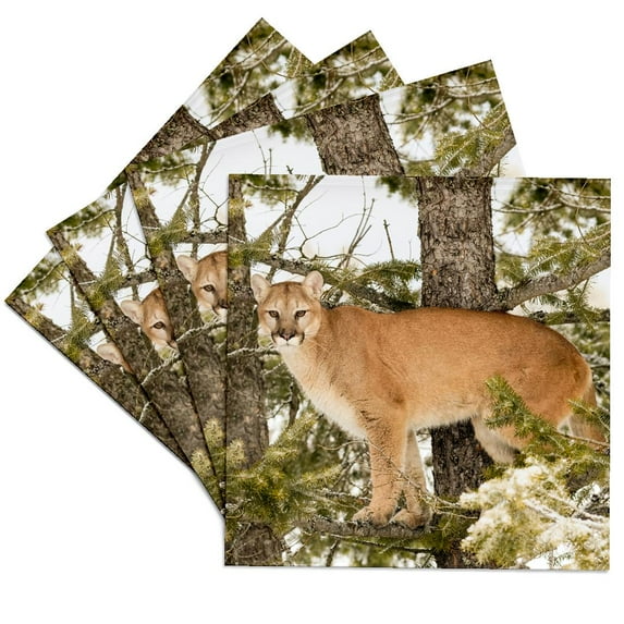 3drose, Mountain Lion in a Tree in Winter, Montana., Set of 4 Ceramic ...