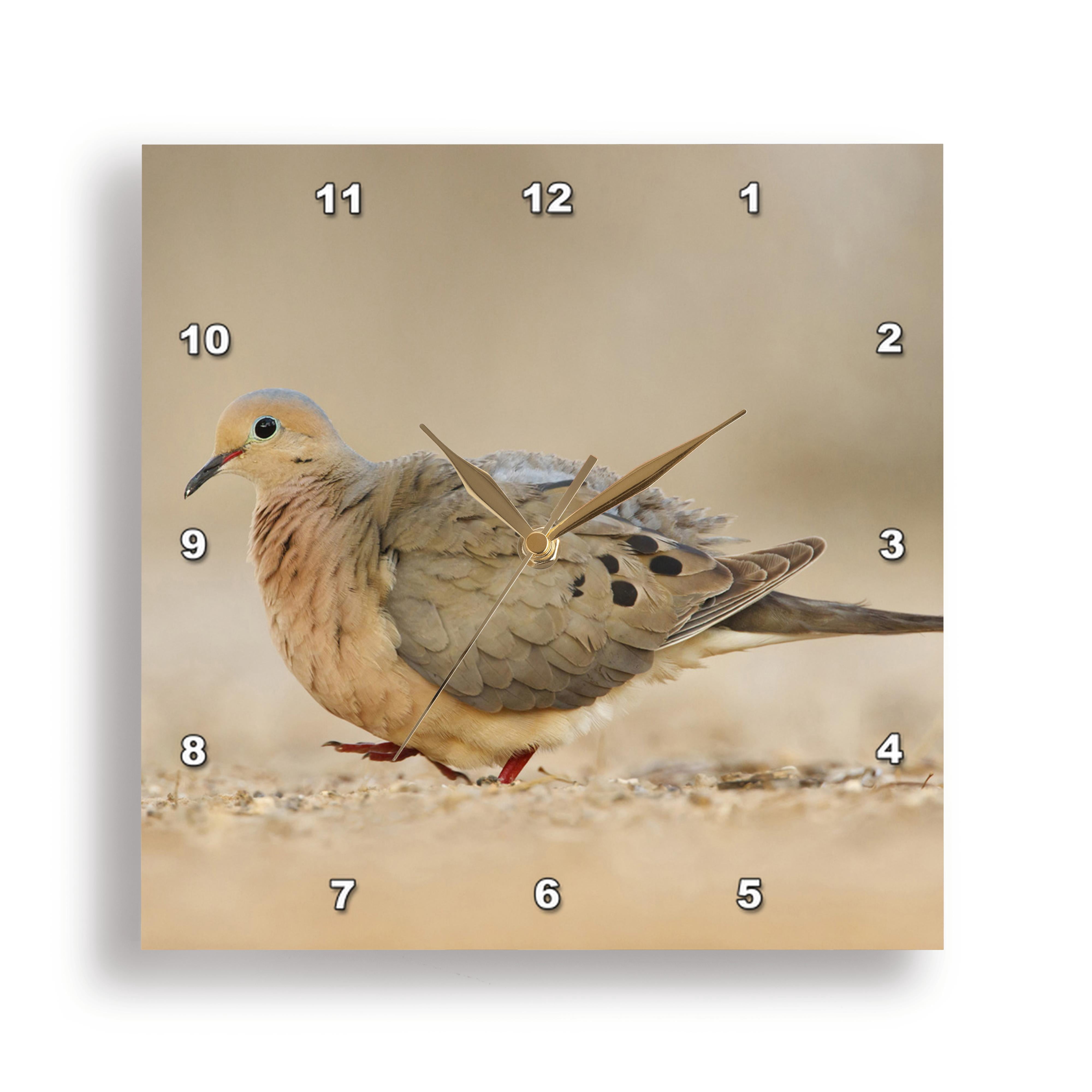 3drose, Mourning Dove Bird (zenaida Macroura) Walking - Us44 Ldi0987 ...