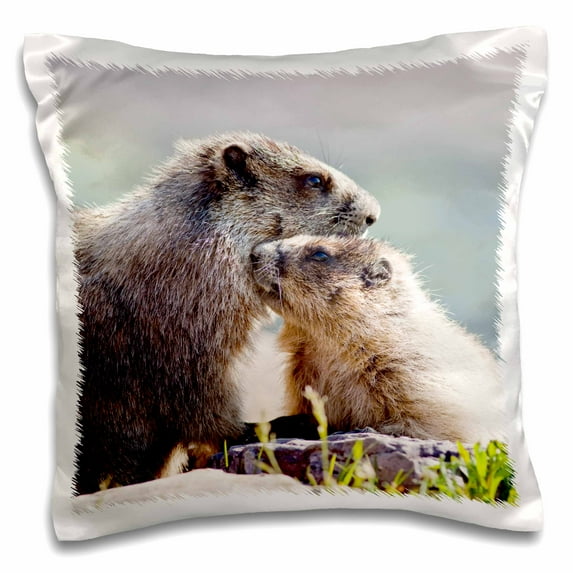 3drose, Mt Glacier Np Logan Pass, Hoary Marmot Wildlife - Us27 Jwi0110 ...