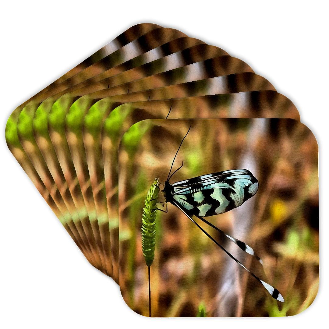 3drose, Nemoptera Bipennis Spoon-winged Insect Art, Set of 8 Coasters ...