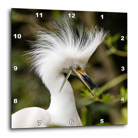 3drose, Nesting Snowy Egrets on Alcatraz Island, San Francisco ...