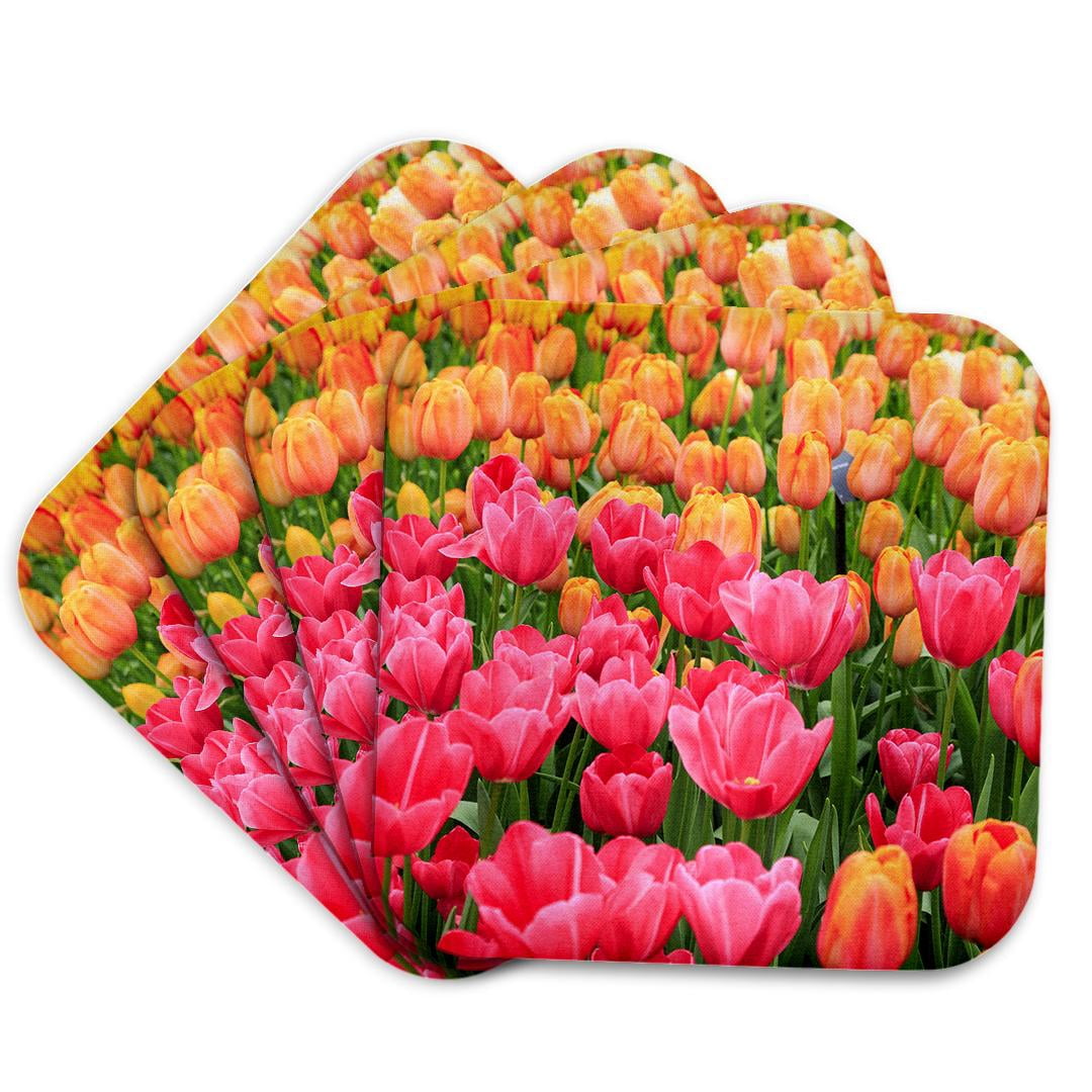 3drose, Netherlands, Flevoland. Dutch Tulips in Fields., Set of 4 ...