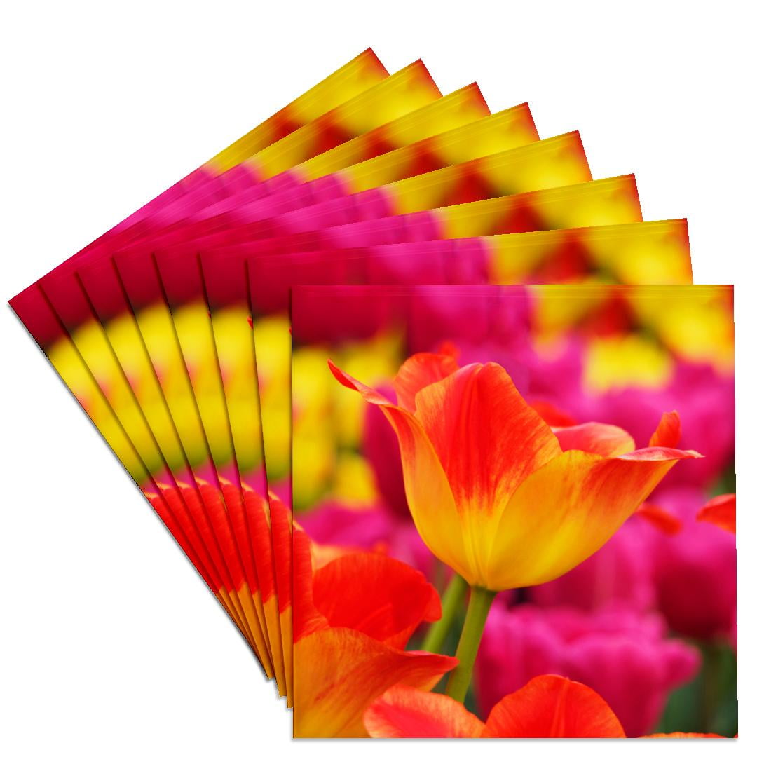 3drose, Netherlands, Macro Image of Colorful Tulip, Set of 8 Ceramic ...