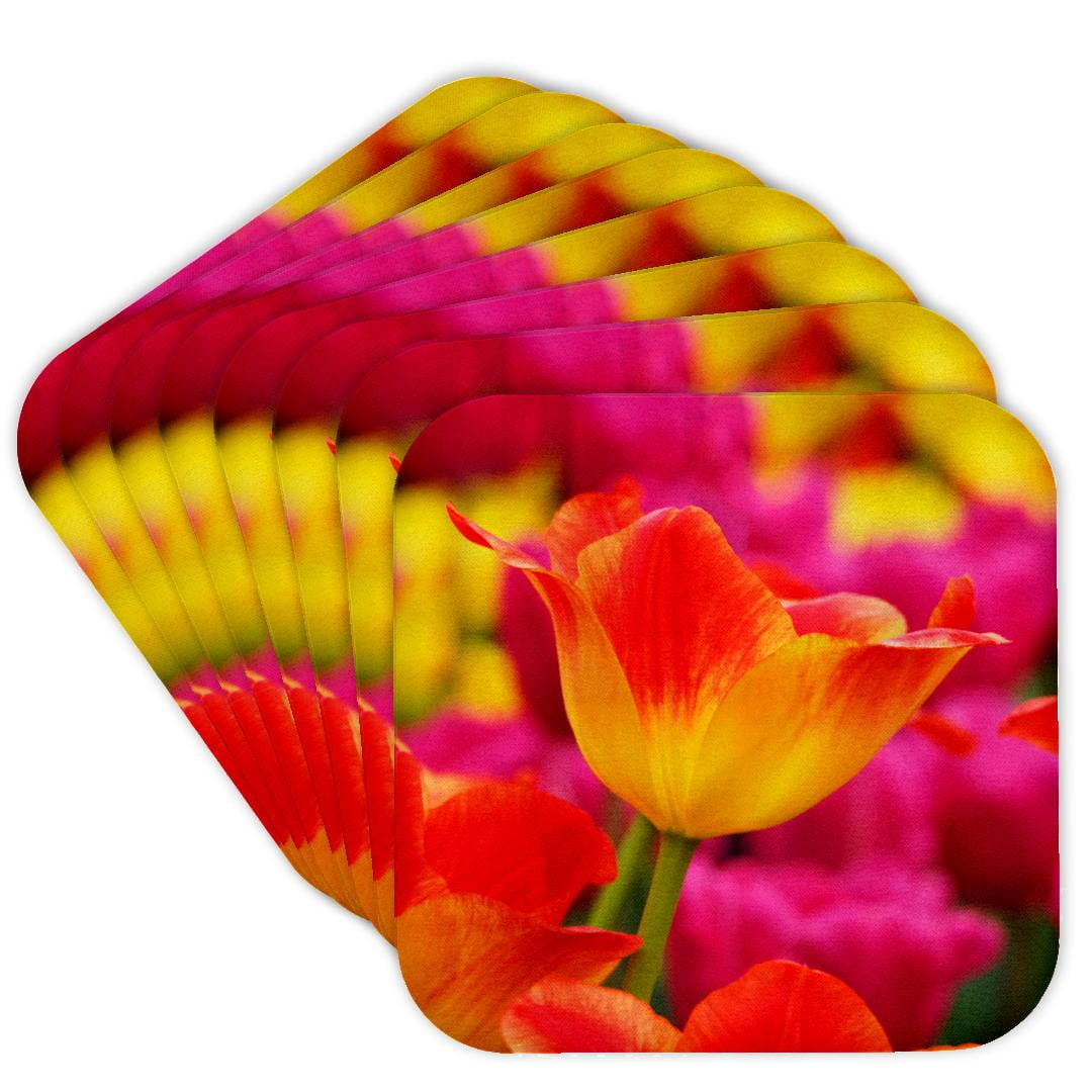3drose, Netherlands, Macro Image of Colorful Tulip, Set of 8 Coasters ...