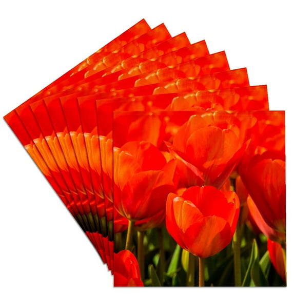 3drose, Netherlands, Nord Holland, Red Tulips in Mass, Set of 8 Ceramic ...