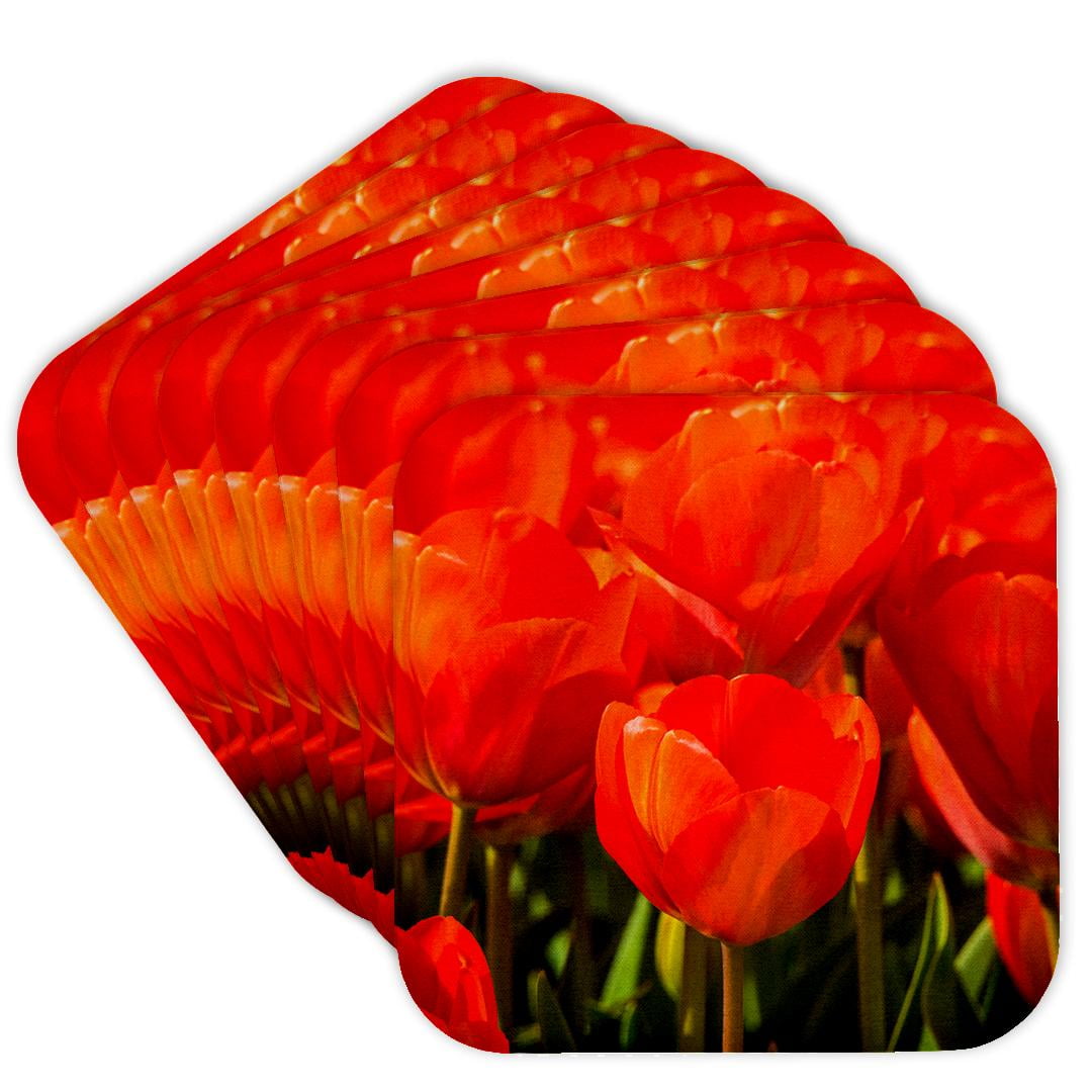 3drose, Netherlands, Nord Holland, Red Tulips in Mass, Set of 8 ...