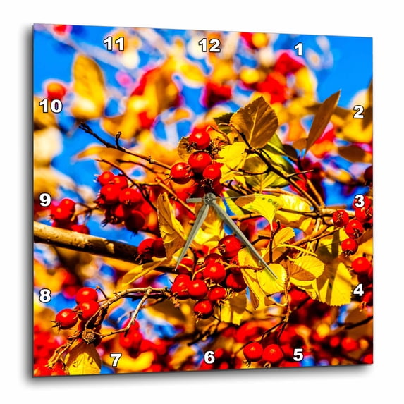 3drose, New Crop of Hawthorn Berries on a Tree. Yellow Autumn Leaves ...