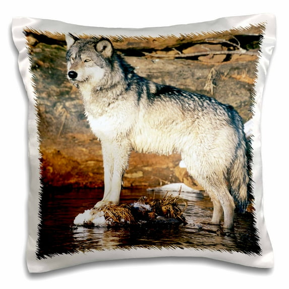 3drose, North America, Usa, Minnesota. Wolf (canis Lupus) - Us24 ...