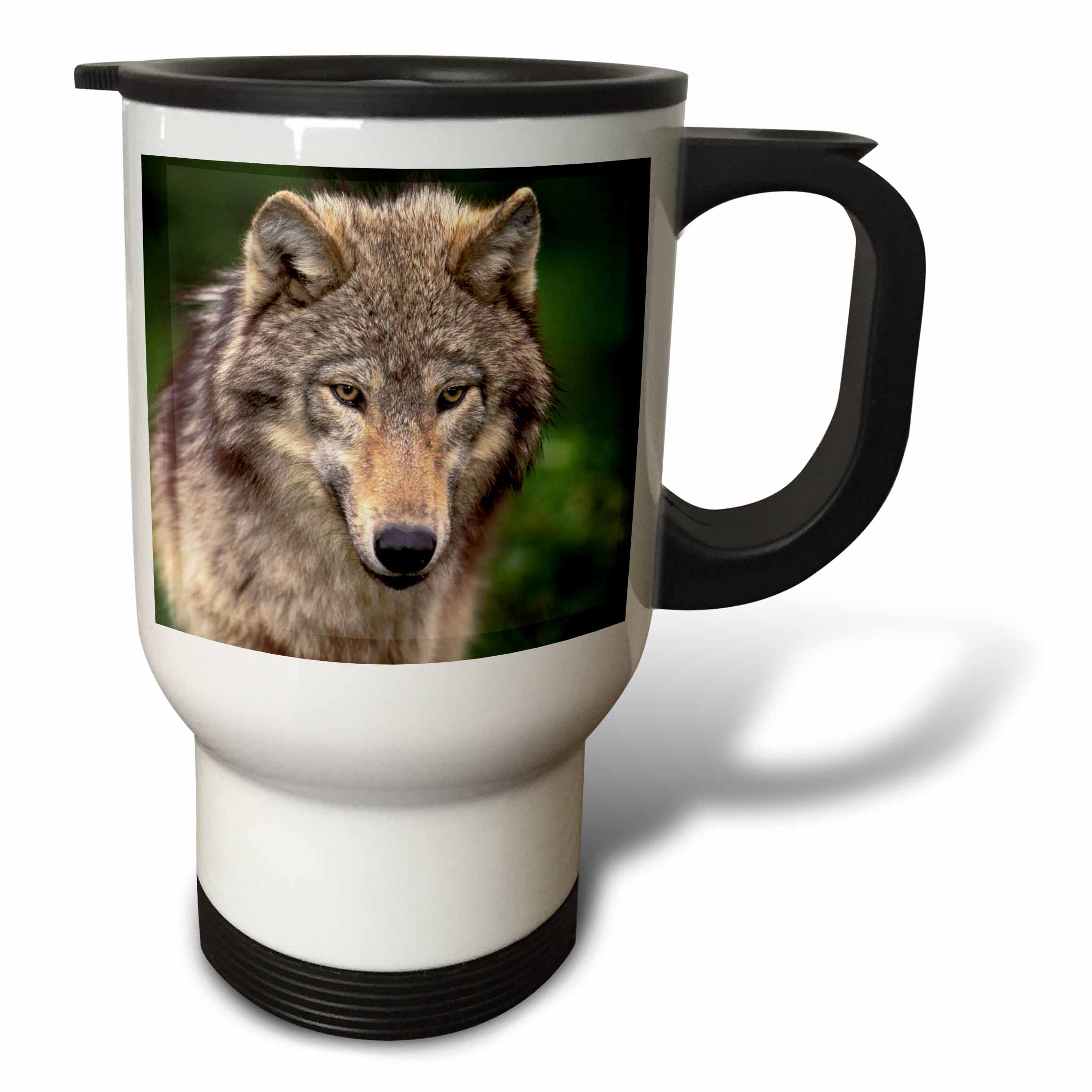 3drose, North America, Usa, Montana. Wolf Wildlife - Us27 Tve0006 - Tom ...