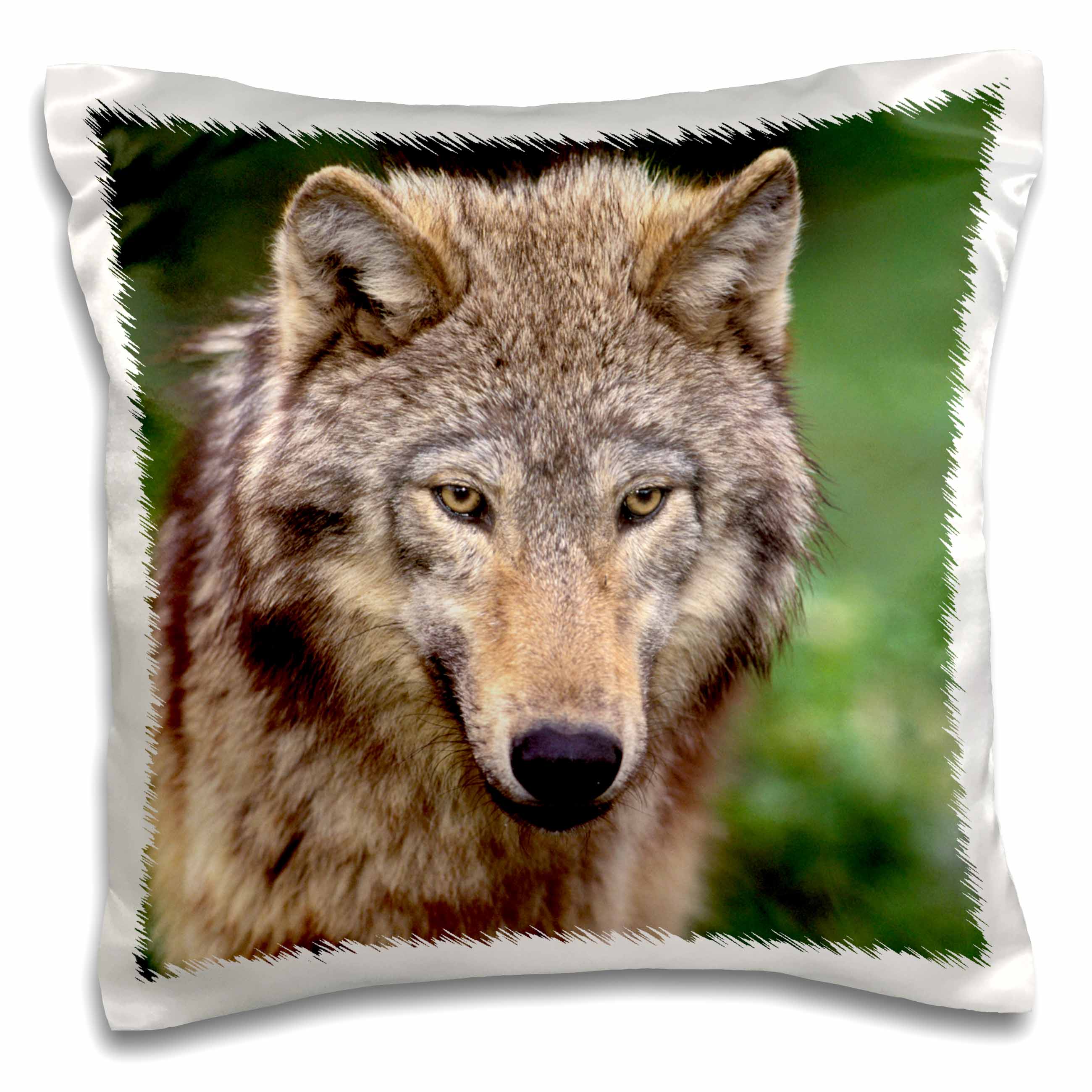 3drose, North America, Usa, Montana. Wolf Wildlife - Us27 Tve0006 - Tom ...