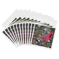 3drose, Northern Cardinal Male in American Holly Tree in Winter, Marion ...