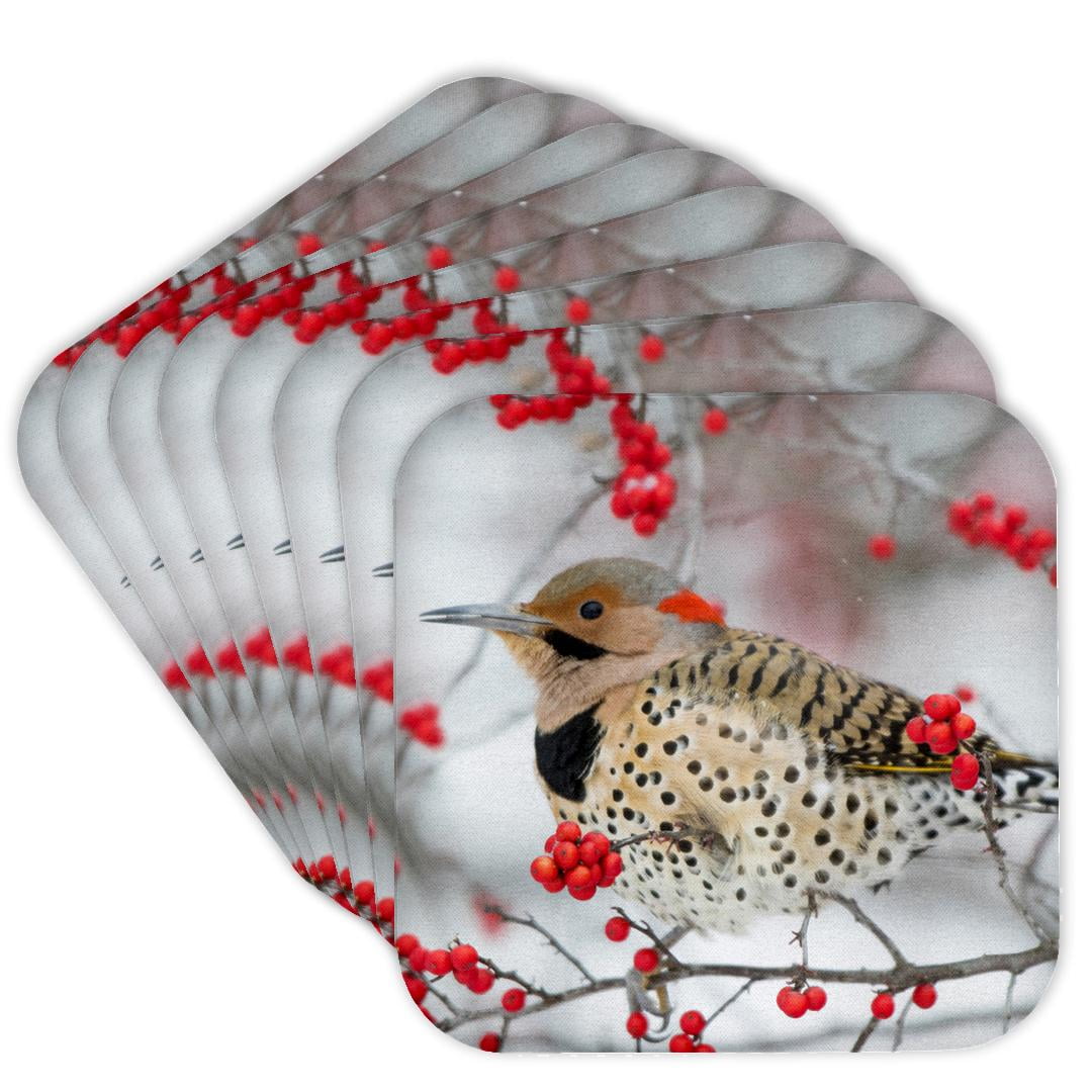 3drose, Northern Flicker, Colaptes Auratus Male in Winterberry Bush ...