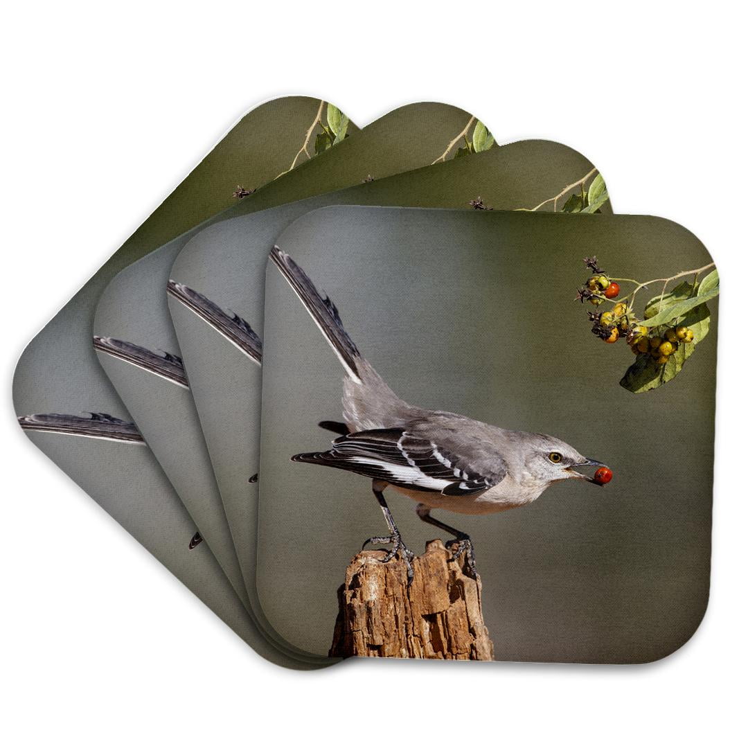 3drose, Northern Mockingbird with Berry., Set of 4 Coasters - Cork ...