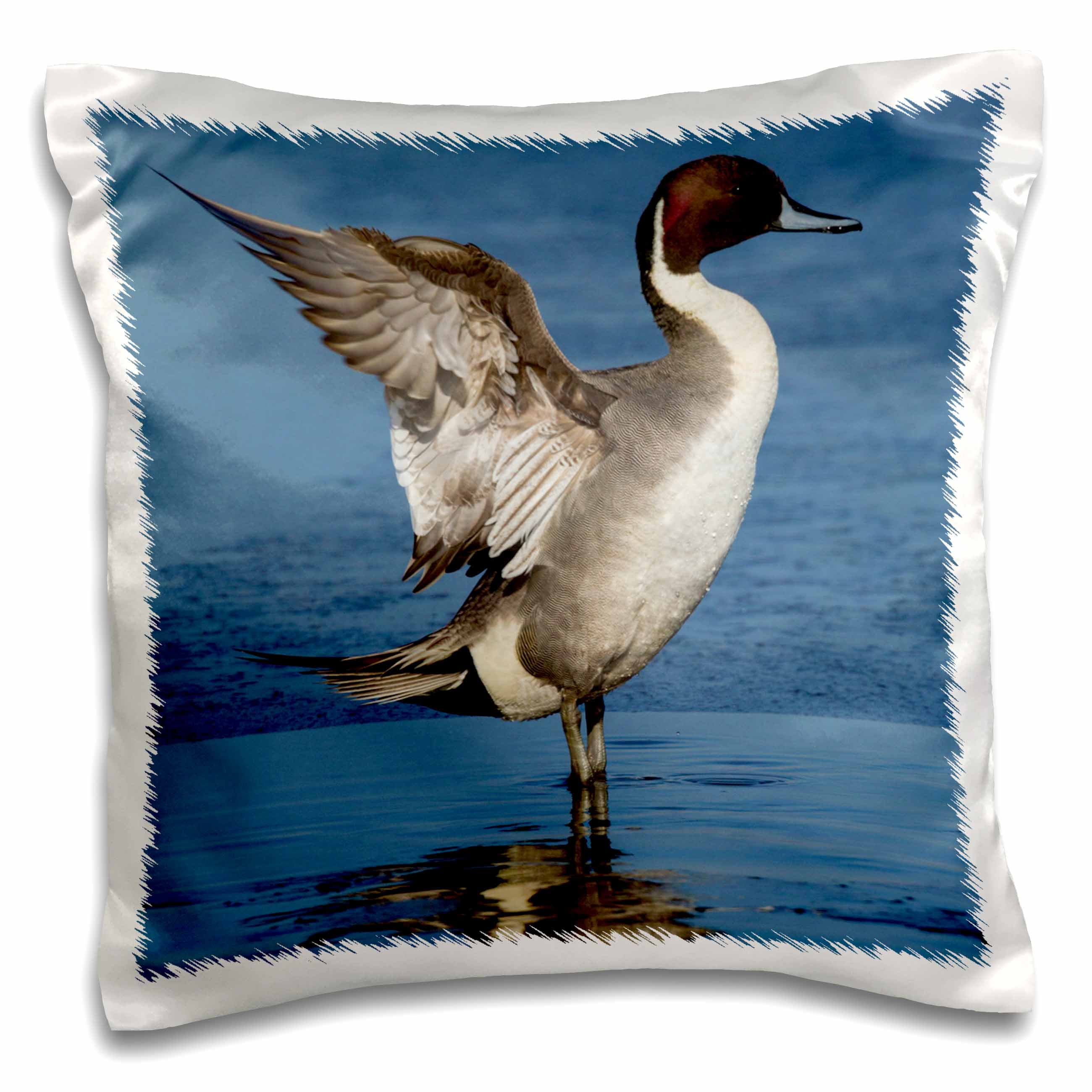 3drose, Northern Pintail Drake on Ice, 16x16 inch Pillow Case - Walmart.com