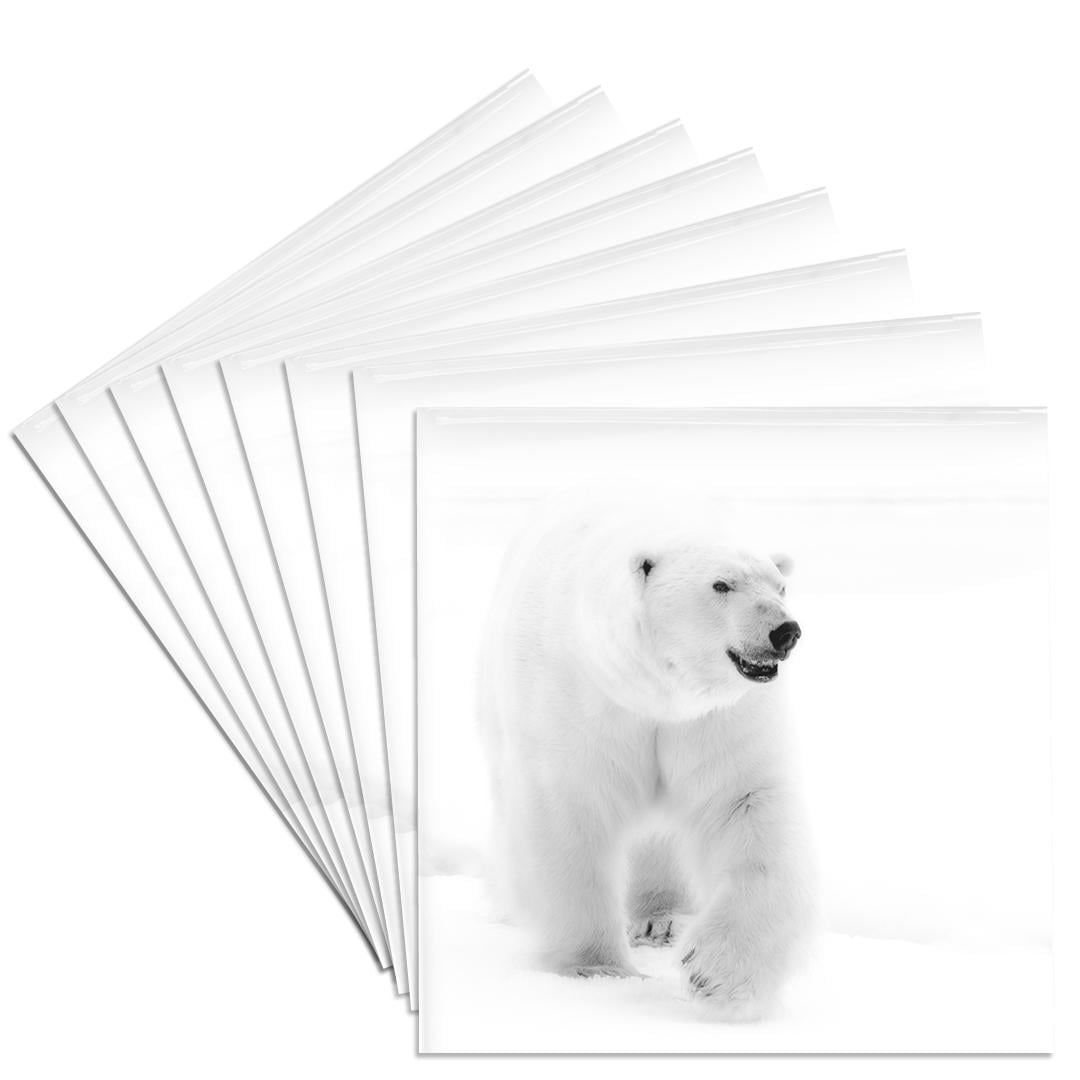 3drose, Norway, Arctic Ocean, Svalbard. Walking Polar Bear., Set of 8 ...