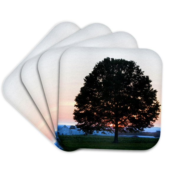 3drose, Oak Tree, Hadley, Massachusetts - Us22 Jmo0471 - Jerry and ...