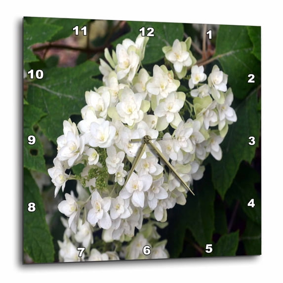3drose, Oakleaf Hydrangea White Flowering Bush, 13x13 Wall Clock ...