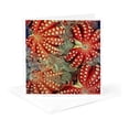 3drose, Octopus,tsukiji Market, 1 Greeting Card with Envelope - Walmart.com