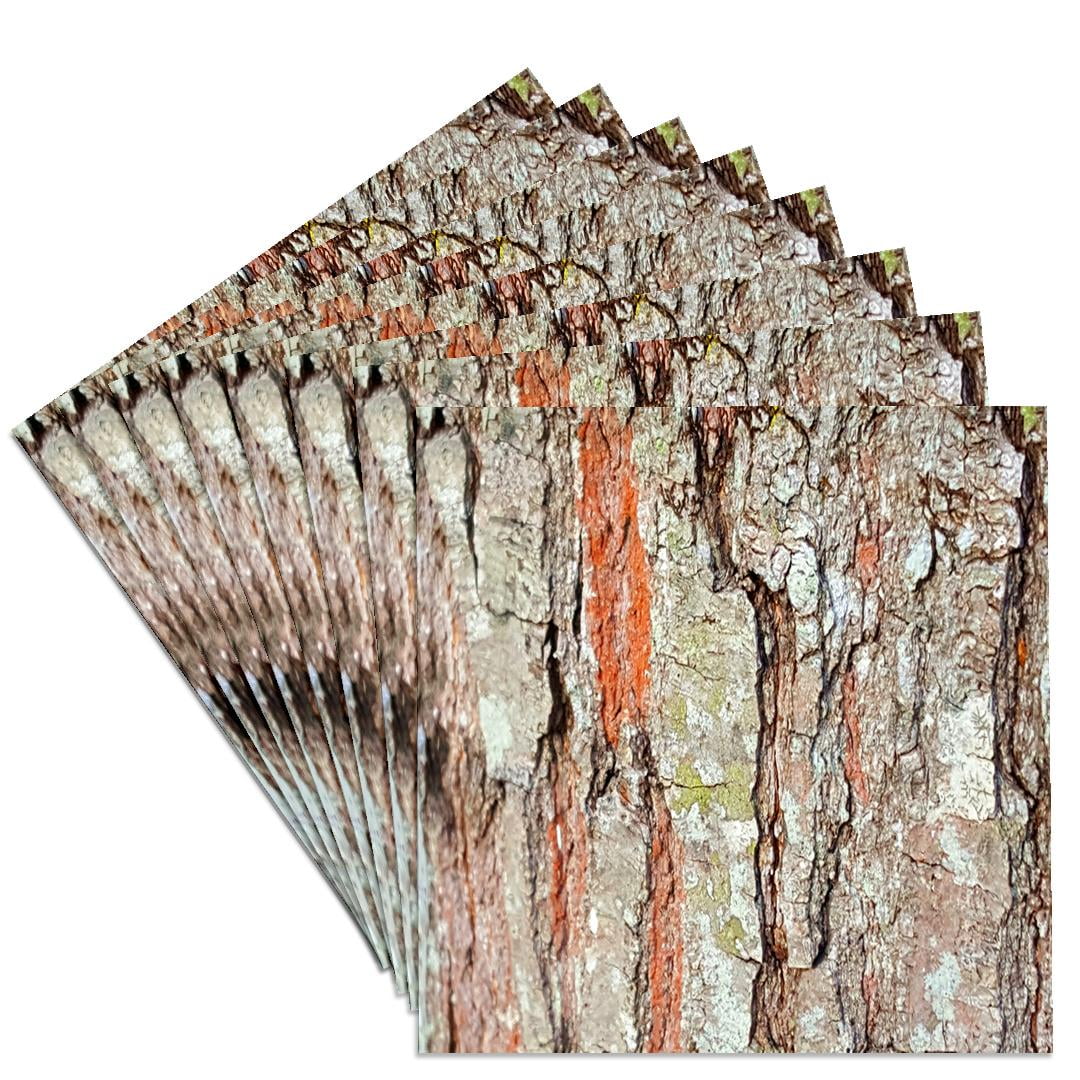3drose, Old Oak Tree Bark, Set of 8 Ceramic Tile Coasters - Walmart.com