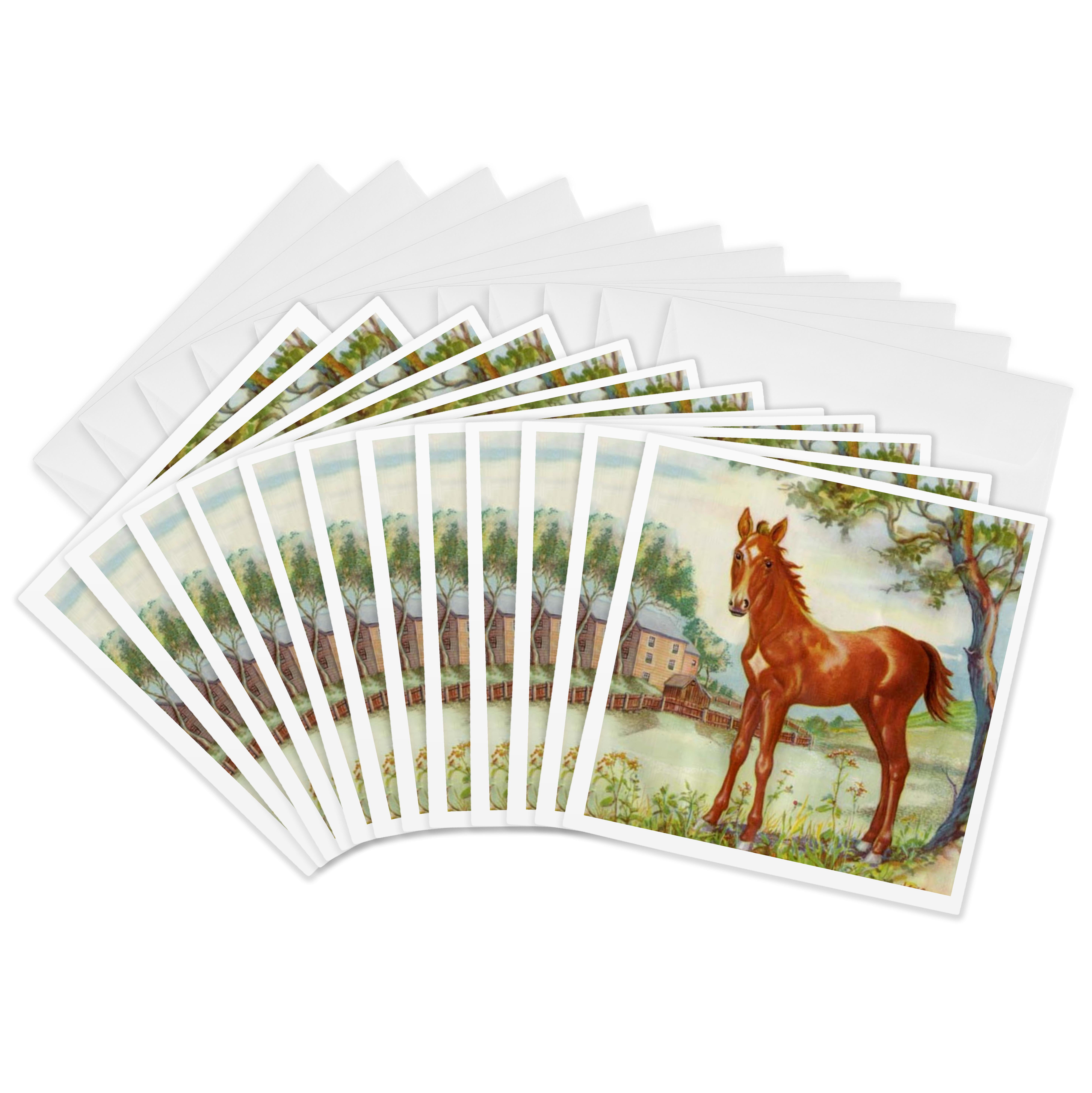 3drose, One Pony Cartoon, 12 Greeting Cards with Envelopes - Walmart.com