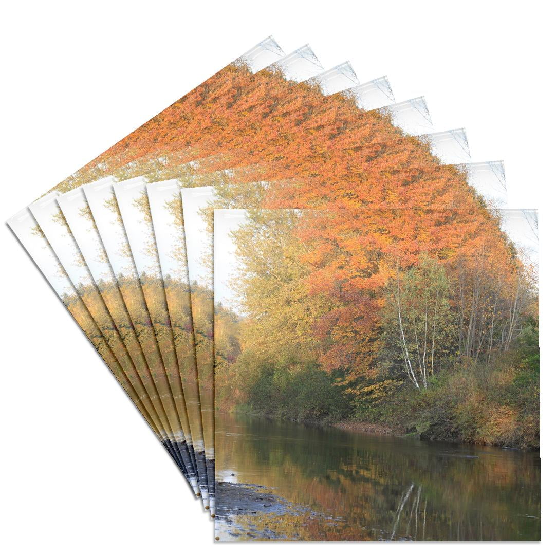 3drose, Orange Fall Foliage Fall Scenic River Reflection, Set of 8 ...