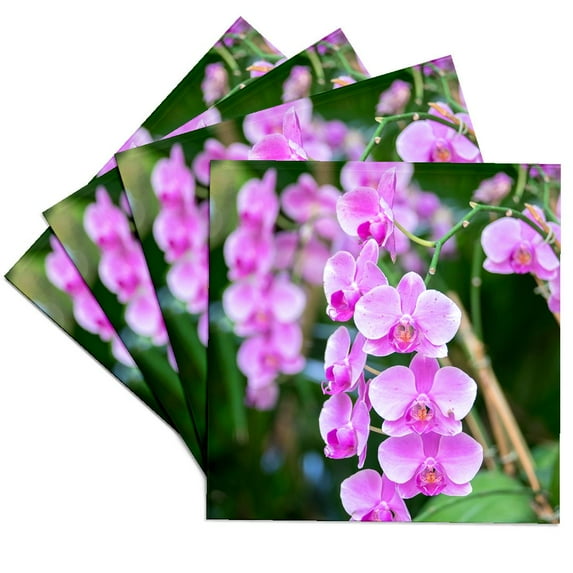 3drose, Orchid Portrait, Usa, Set of 4 Ceramic Tile Coasters - Walmart.com