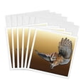 3drose, Owl in Flight with Claws Ready to Grab Prey, 6 Greeting Cards ...