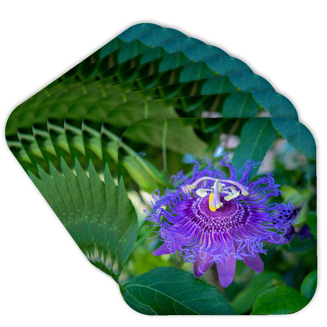 3drose, Passion Flower, Usa, Set of 8 Coasters - Soft - Walmart.com