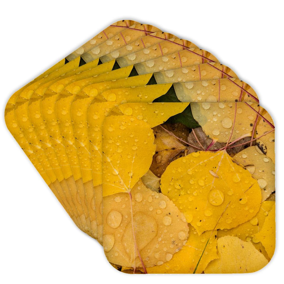 3drose, Pattern of Fallen Yellow Aspen Leaves, San Juan Mountains ...