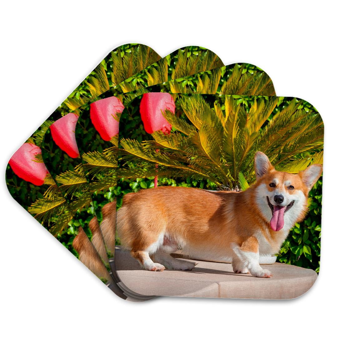 3drose, Pembroke Welsh Corgi Standing Poolside, Mr and Pr,, Set of 4 ...